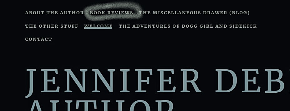 The Problem with WordPress – Jennifer deBie author